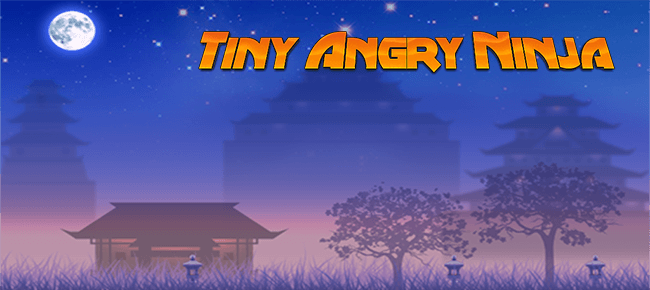 Tiny Angry Ninja – Sell My App